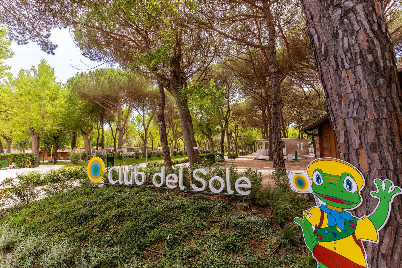 Club del Sole Viareggio Family Collection | £30pp Deposits